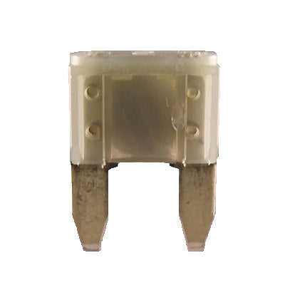 Standard Mini Blade Fuses 10 Amp – GreaseApe